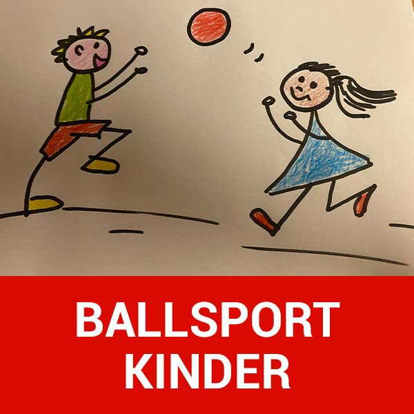 Ballsport - VfL Stenum e.V.